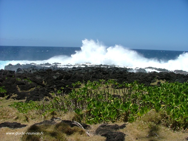 Saint-Philippe - Ile de la Reunion