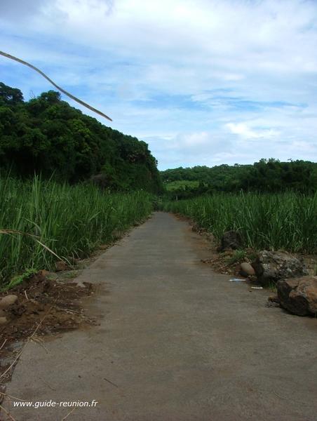 Cascade Niagara à Sainte Suzanne de La Réunion